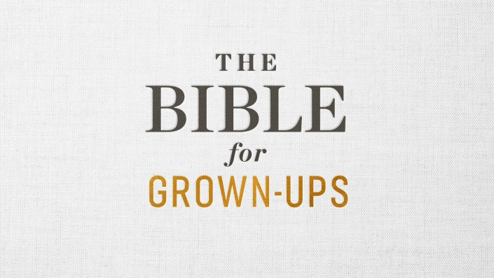 Bible For Grown Ups Study Guide – Your Move Collective